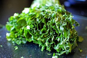 Top 12 Healing Benefits of Cilantro with Cleansing Detox Recipes